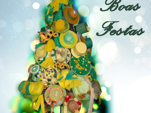 AGRUPAMENTO DE ESCOLAS MARTINHO ÁRIAS, SOURE